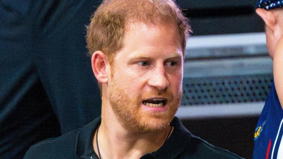 Polo Captain Rips Into Prince Harry For Hiding Their History: ‘He’d ...