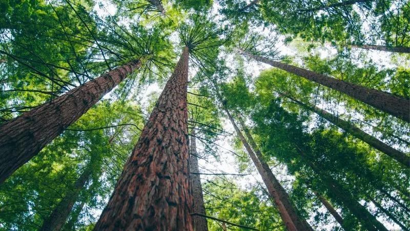 Harrison Ford Says His Generation “Kicked the Can Down the Road” on the ...