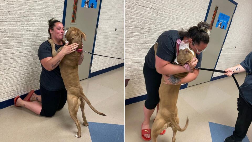 Indiana Woman’s World Shattered When Her Dog Disappeared, Then Came The ...