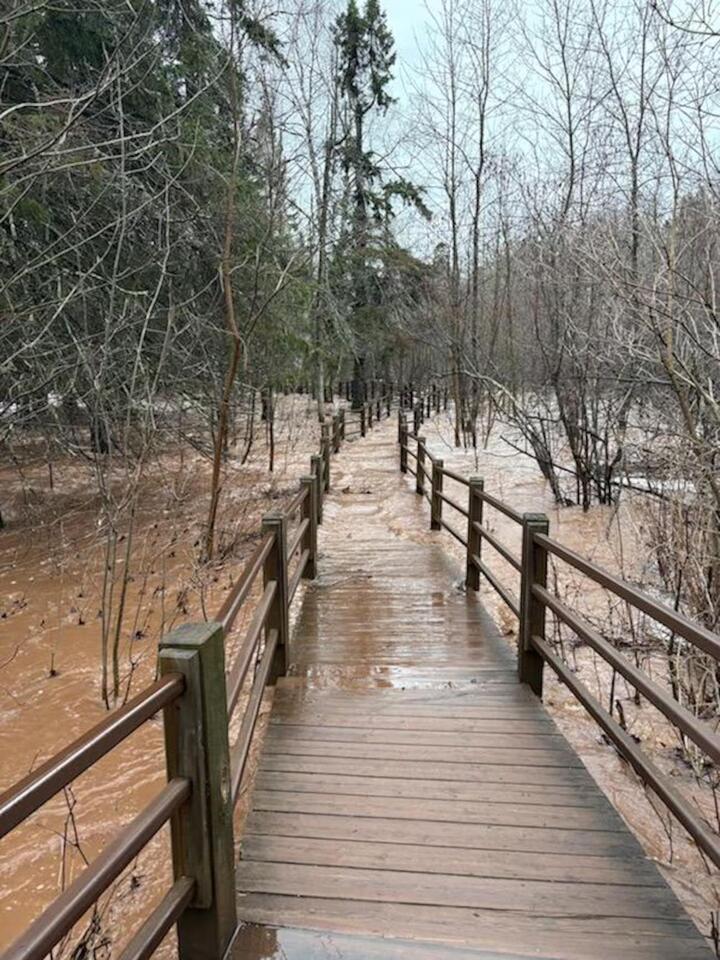 Flooding closes trails at Gooseberry Falls State Park - NewsBreak