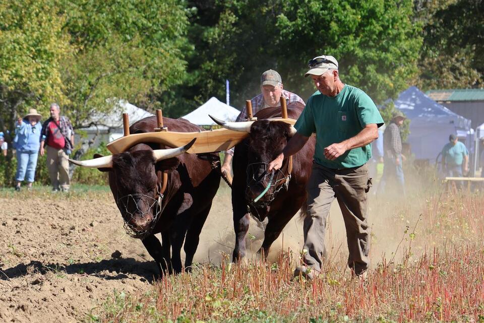 An evolving Common Ground fair kicks off its 49th year - NewsBreak