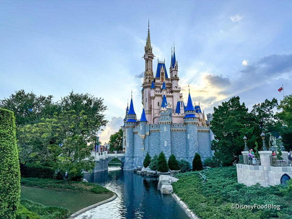 Disney Just Dropped 3 MAJOR Announcements Including 91 NEW Treats And A ...