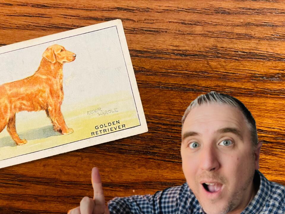 is-this-85-year-old-card-the-rookie-card-for-a-golden-retriever