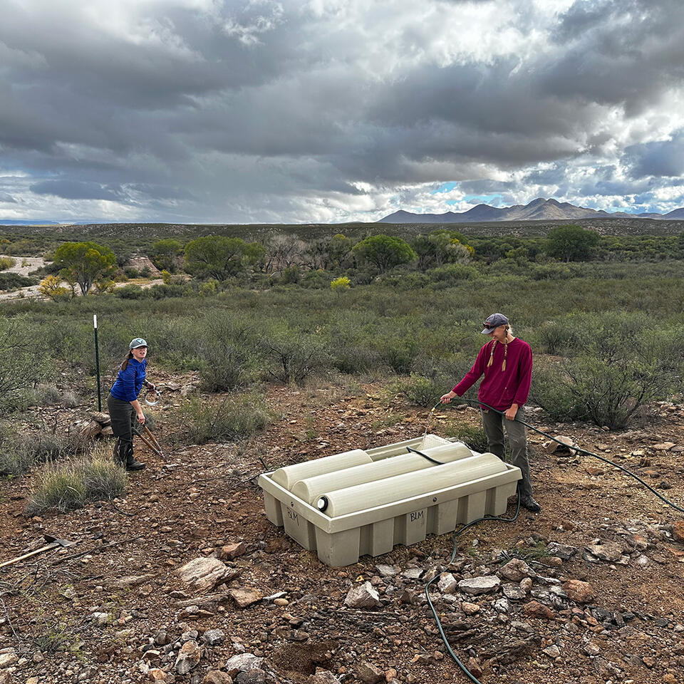 Water for Wildlife in the San Pedro Riparian National Conservation Area ...