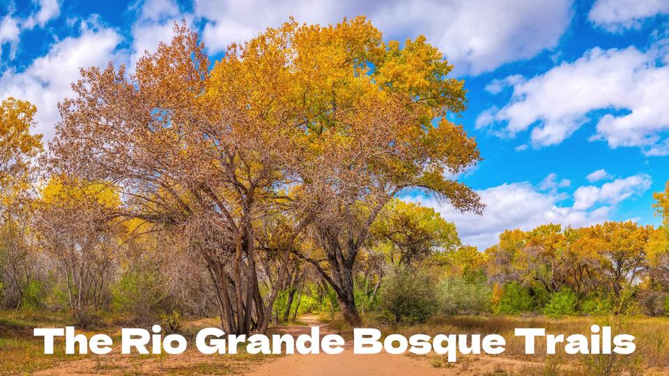LIST: Best fall hikes within an hour of Albuquerque - NewsBreak