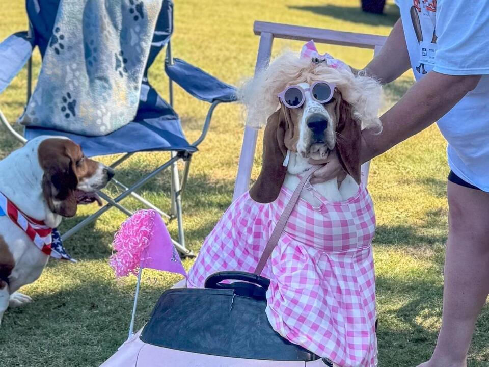 Pups show up for inaugural pet contest