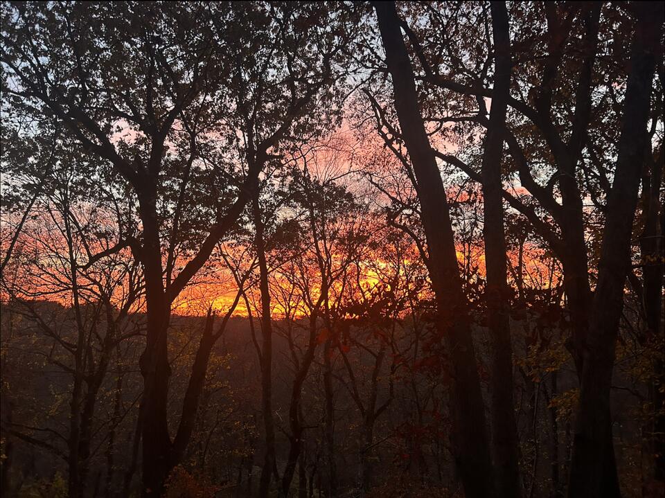 A Reflection on the Forests of Connecticut - NewsBreak