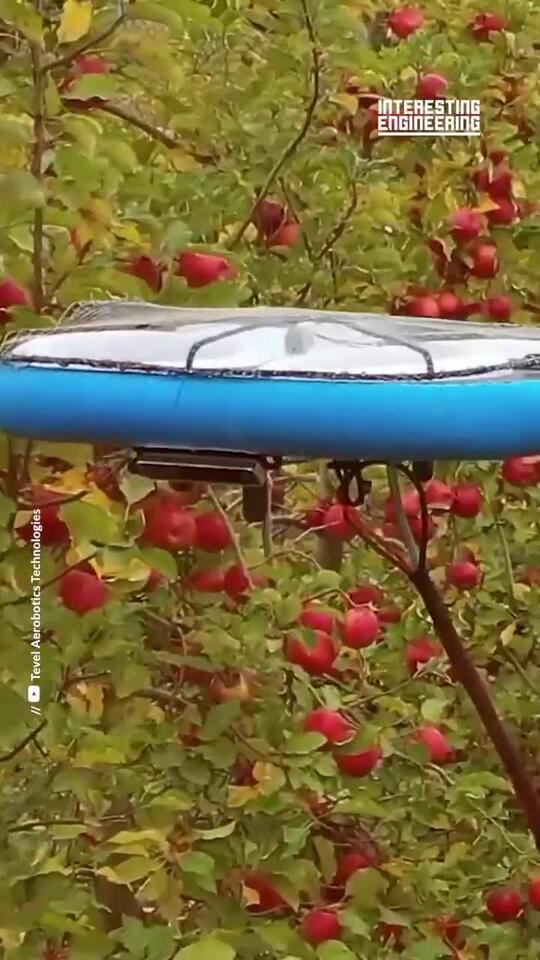 Flying robots bring in a harvest! These flying robots work day and ...