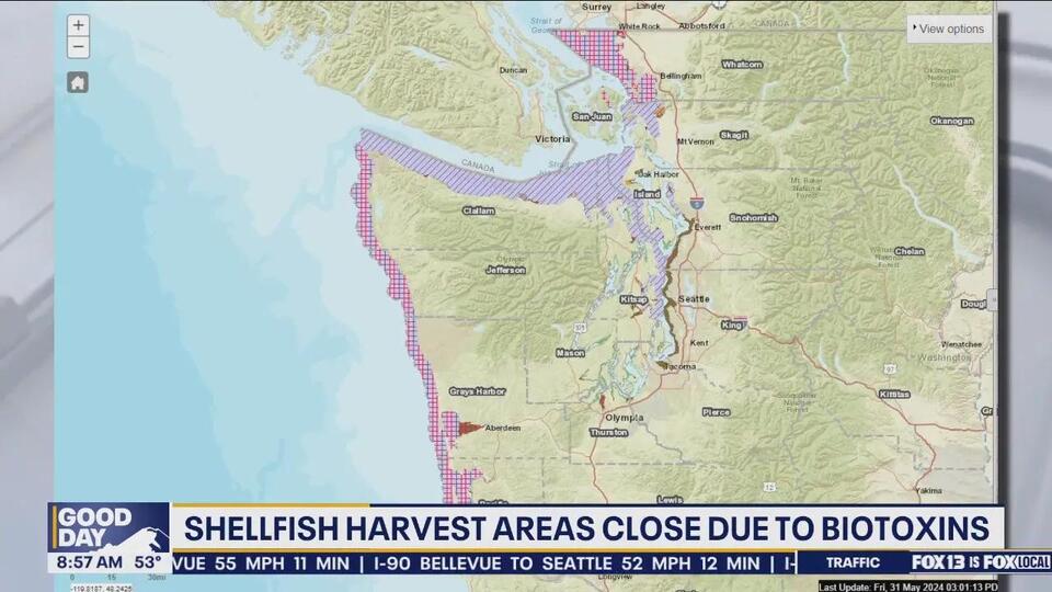 WA shellfish harvest areas close due to biotoxins - NewsBreak