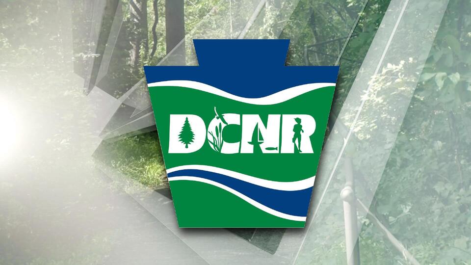 DCNR opening over 500 miles of state forest roads for hunting ...