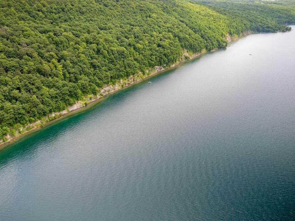 Finger Lakes Land Trust tops 35,000 acres conserved - NewsBreak