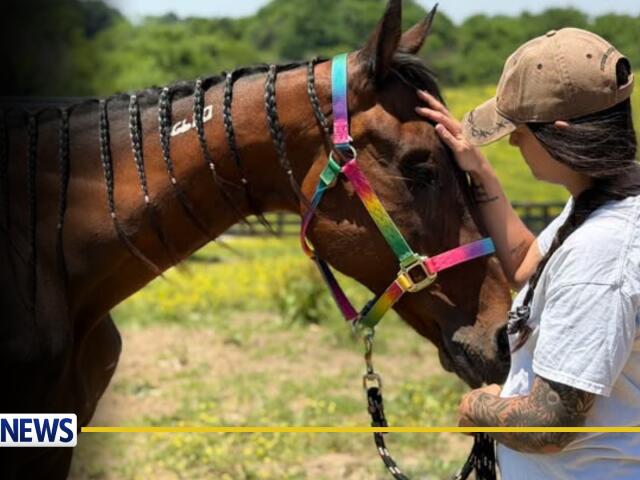 Blind, rescued racehorse in Kentucky dies after internal bleeding ...
