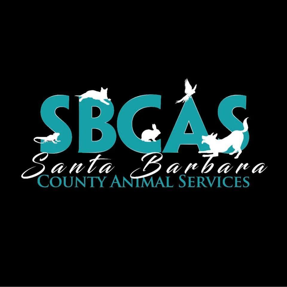 Santa Barbara County Animal Services officer honored after convicting ...