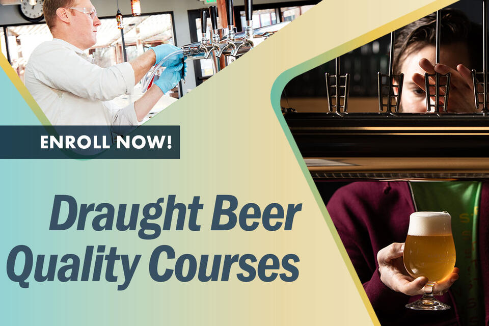 Announcing New Draught Beer Quality Courses - NewsBreak