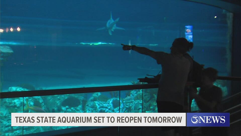 Texas State Aquarium set to reopen Friday - NewsBreak