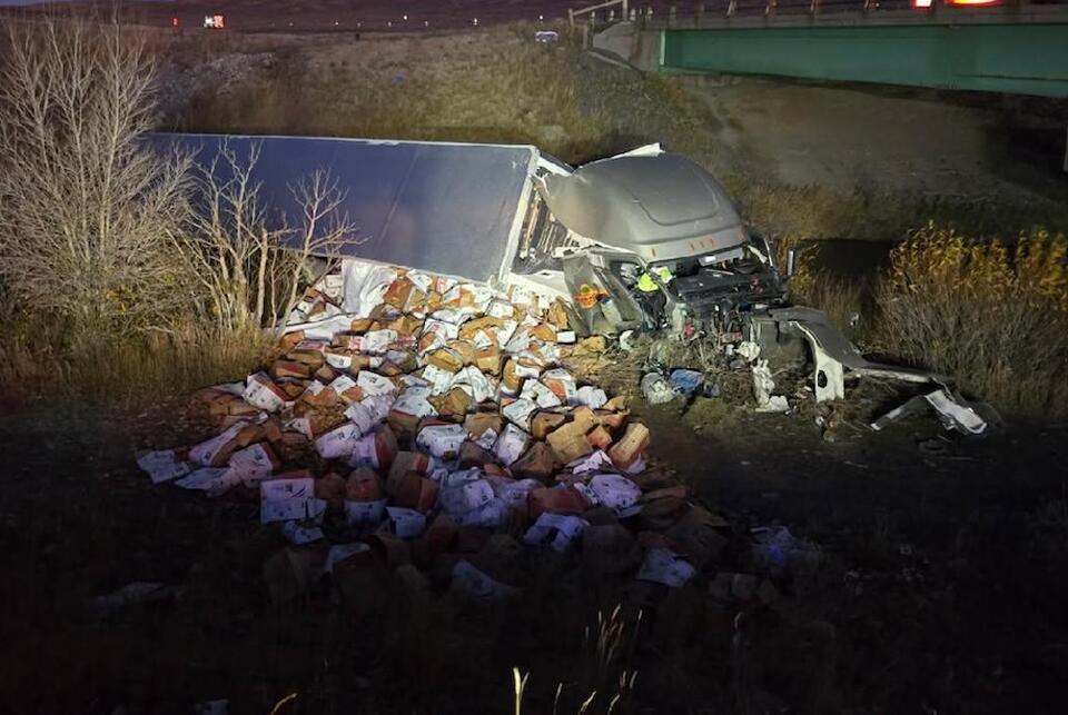 Trucker charged with DUI, passenger injured, cat unhurt - NewsBreak