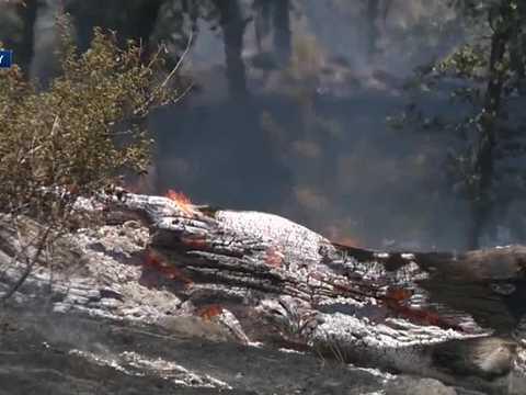 Debris flows a potential hazard in Park Fire burn scar areas as wetter ...