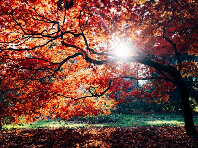 Weather Forecast For Findlay