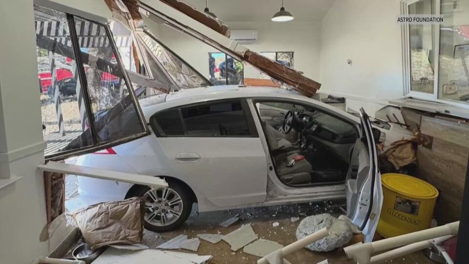 4 cats missing, 1 cat dead after car crashes into Oakdale animal rescue ...
