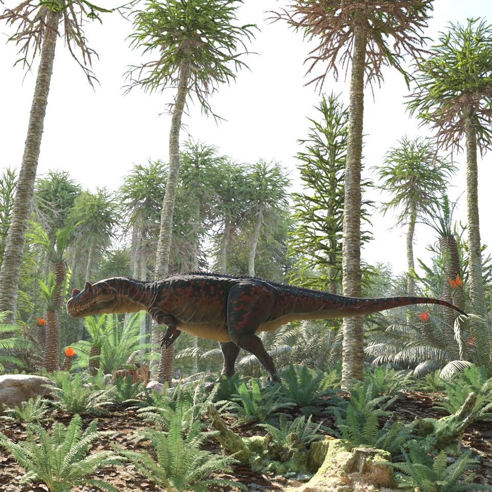 12 Amazing Dinosaur Adaptations That Defy Evolution - NewsBreak