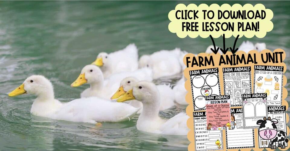 Fall on the Farm: A Free Unit Study on Farm Animals for Kids! - NewsBreak