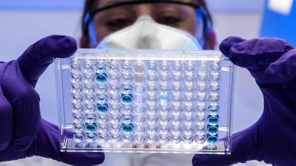 Federal Judge Slams Brakes on $600 Million CDC Grant Cuts Targeting ...
