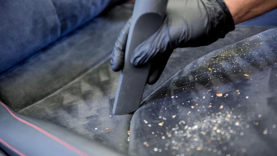 How to Get Dog Hair Out of Your Car Without Losing Your Mind - NewsBreak