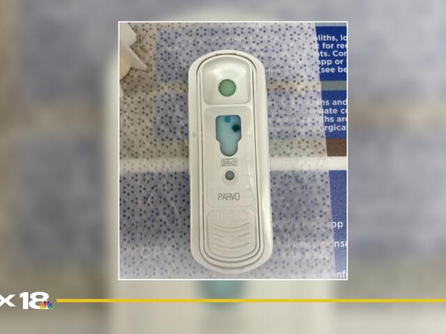 Georgetown veterinary clinic sees 8 positive parvovirus tests in 8 ...