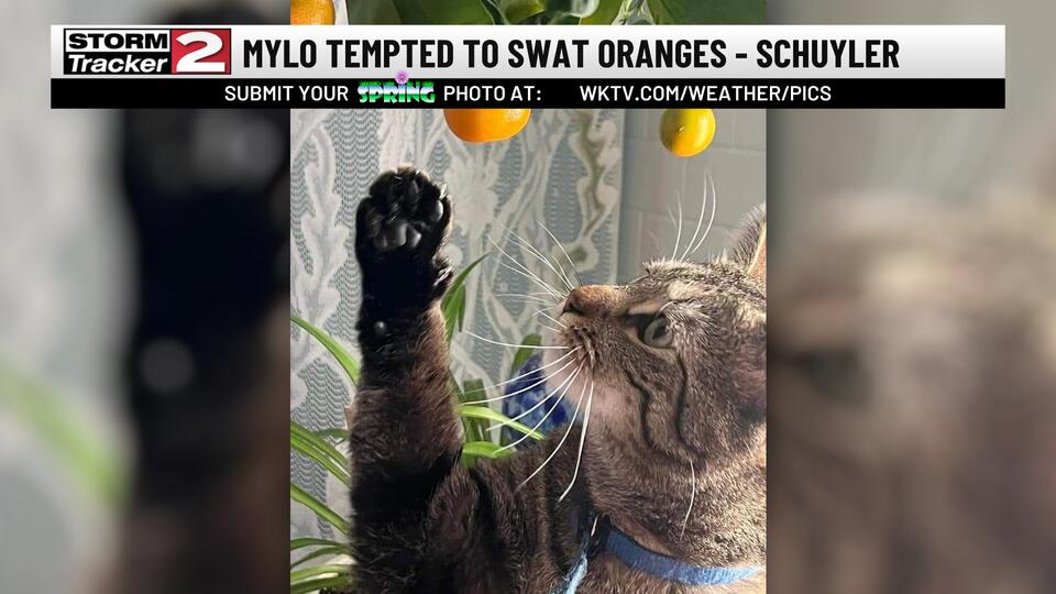 WKTV Weather Photo of the Day: May 2 - NewsBreak