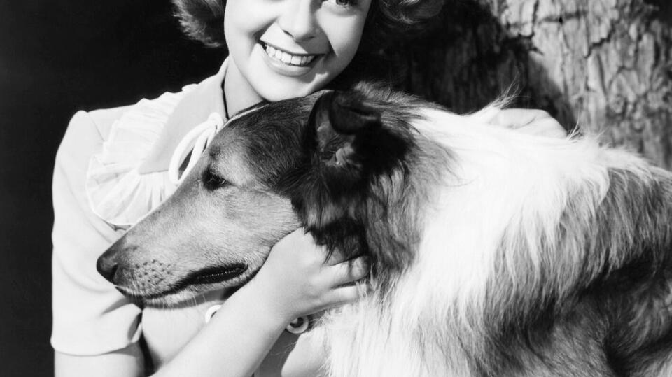 June Lockhart Dead: ‘Lassie’ & ‘Lost in Space’ Actress Was 100 - NewsBreak