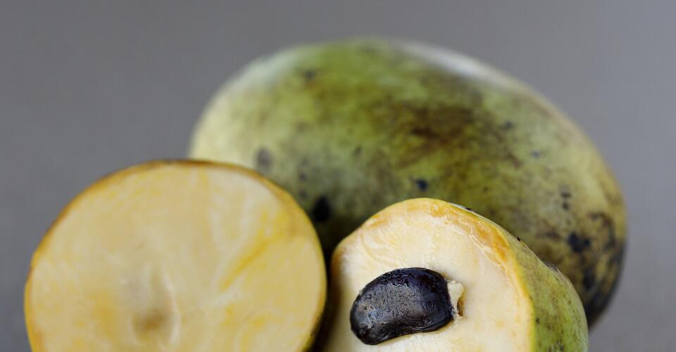 Ready For National Pawpaw Day? Everything To Know About The Unusual ...