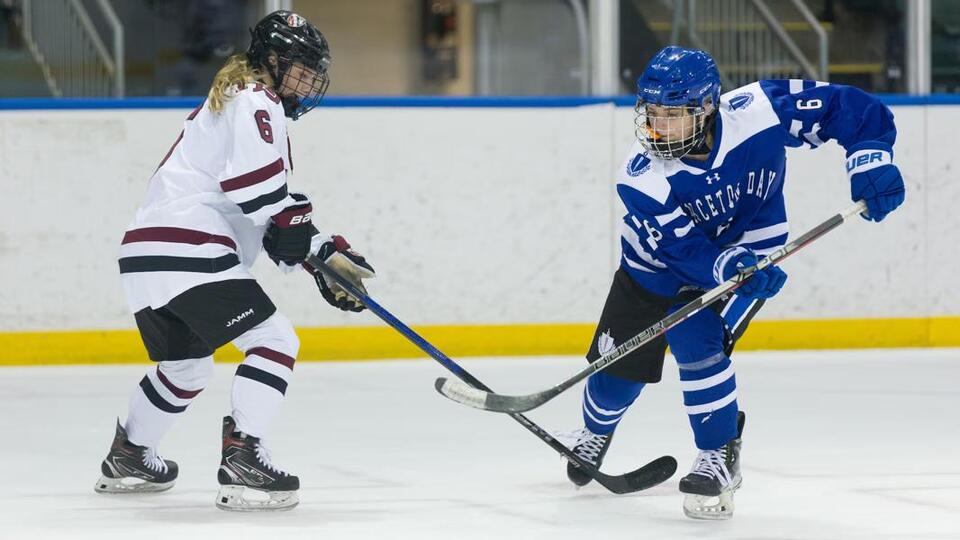 Ice Hockey: Results & recaps for Wednesday, Jan. 28 - NewsBreak