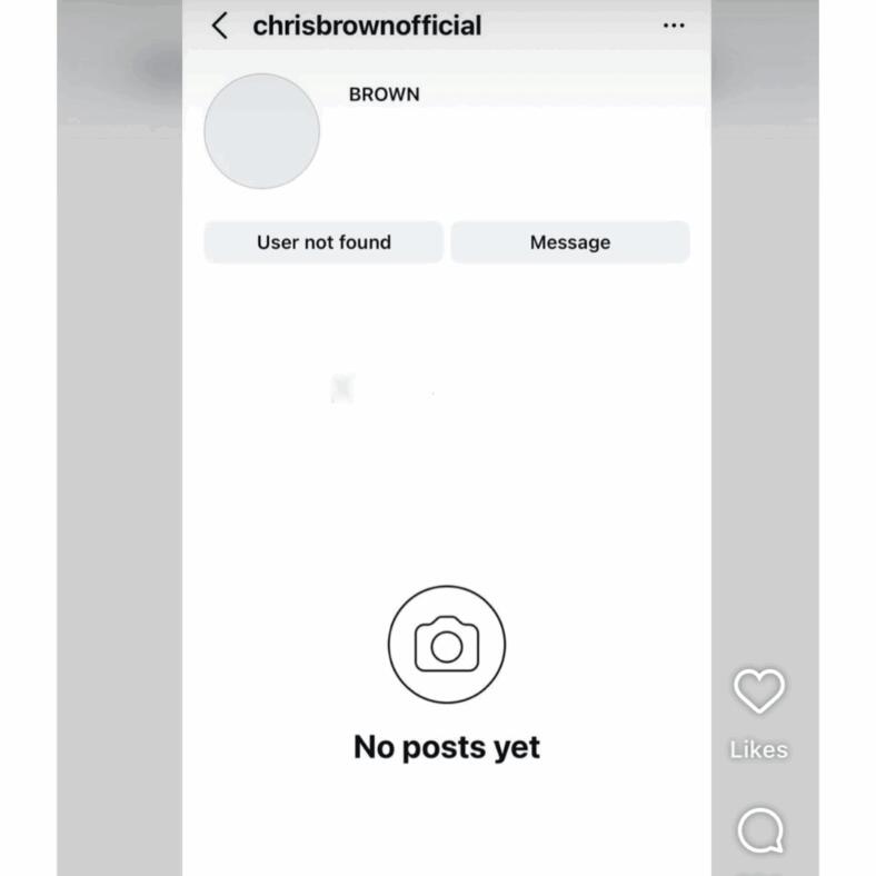 Chris Brown removes Instagram following colorism accusations - NewsBreak