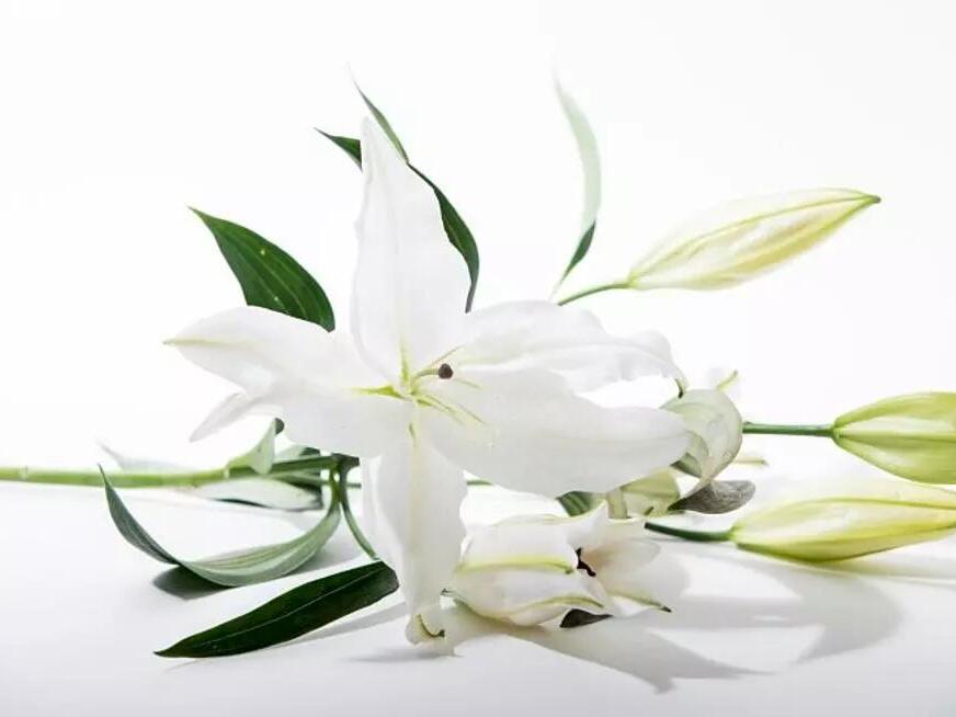 Jim “Luke” M. Cosgriff, 62, Big Lake