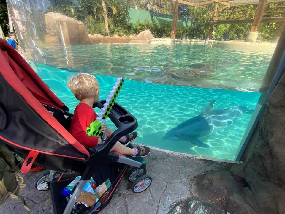 How to get your FREE Preschool Card for SeaWorld Orlando and Aquatica ...