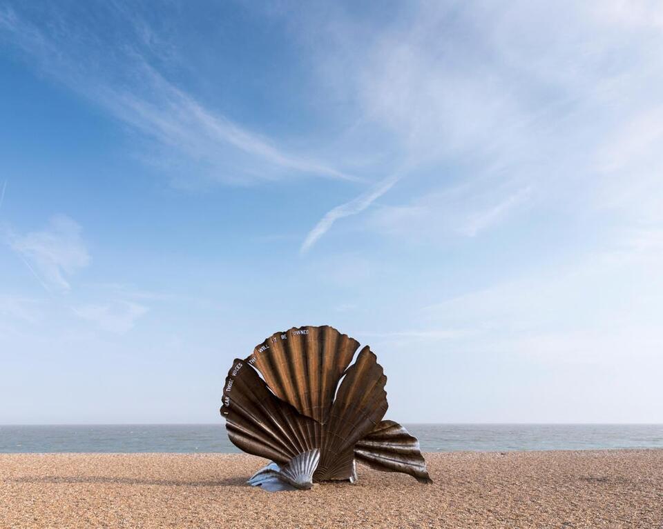 Poem of the week: Scallop Shell by Grace Schulman - NewsBreak