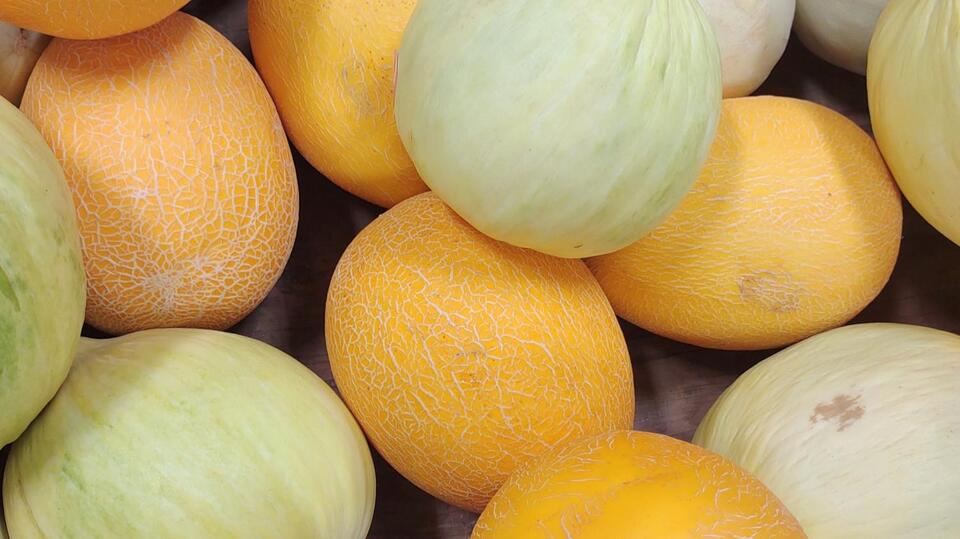 Things to Know Before You Put Melons in Your Grocery Cart - NewsBreak