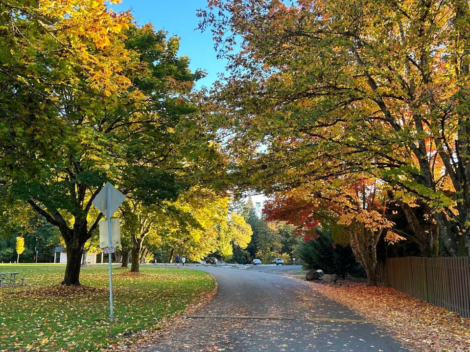 Find Cupid’s heart in Wilsonville in upcoming scavenger hunt - NewsBreak