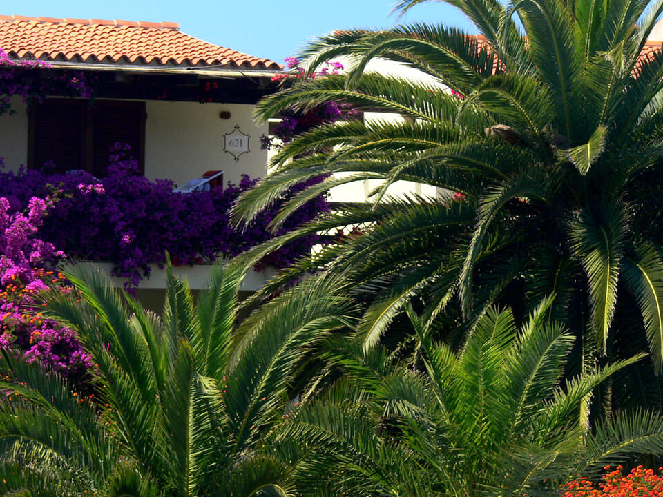 Mediterranean Garden Ideas — 11 Planting, Landscaping and Design ...