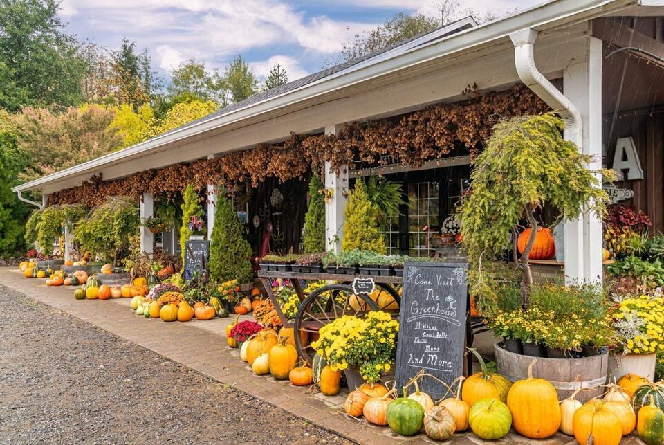 Rural,Countryside,Farmer’s,Market,With,Fresh,Autumn,Produce. - NewsBreak