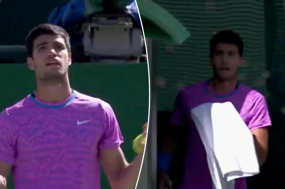 Carlos Alcaraz attacked by bees in wild scene at Indian Wells - NewsBreak