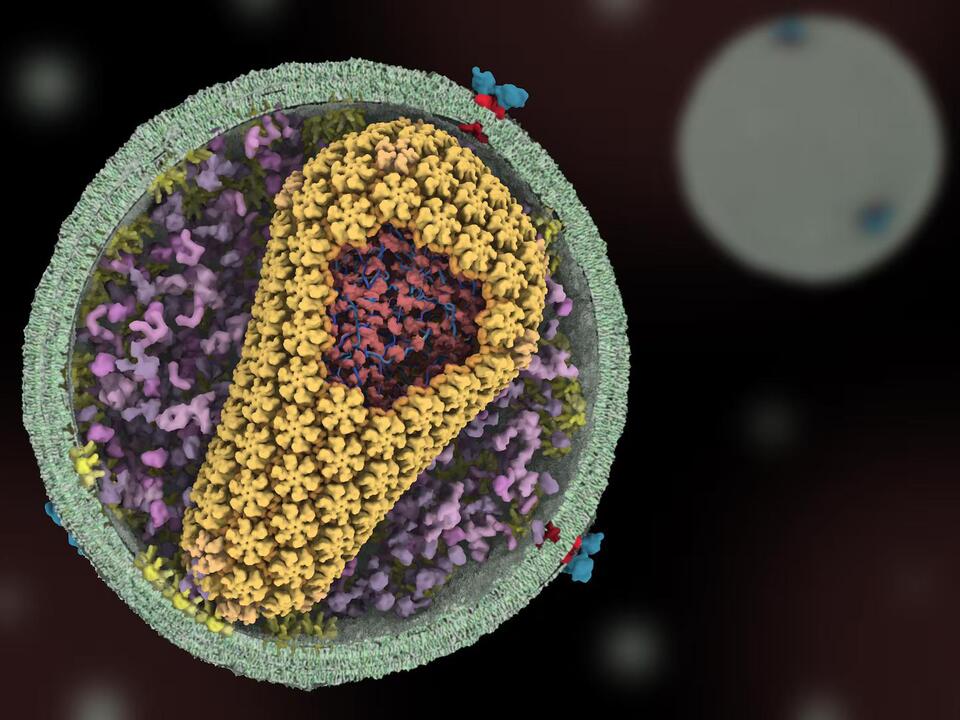 HIV drug based in research by the Sundquist Lab is Science’s 2024 ...