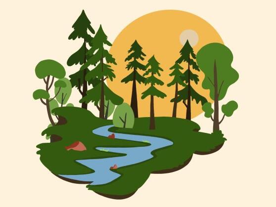 UMN develops new list of recommended species to make forests more resilient