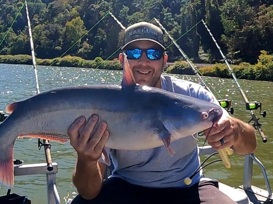 About 100,000 blue catfish stocked in Ohio River for future anglers to ...
