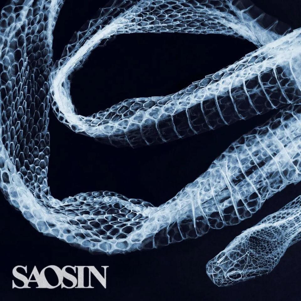 Saosin Releases First New Music in Over a Decade - NewsBreak