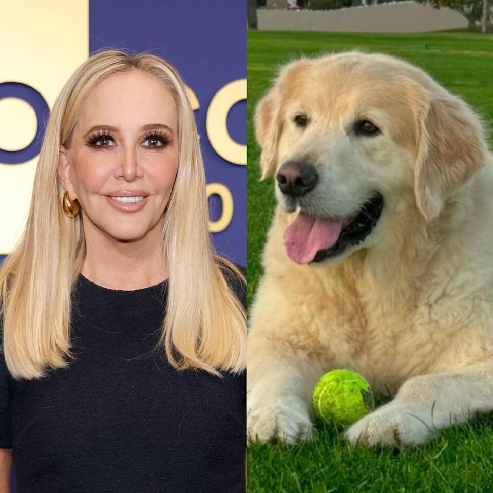 RHOC Star Shannon Beador Mourns Death of Dog Archie After Sharing His ...