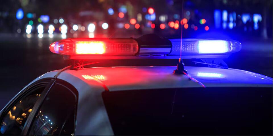 40-year-old woman attacked, killed by her own dog, police say - NewsBreak