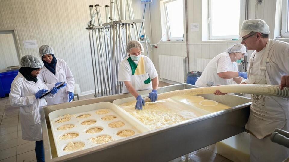 Holiday Shock: Saputo Cheese Closure Hits Green Bay Area Workers Before ...