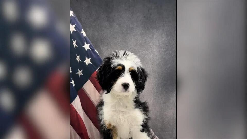 Douglas County Sheriff’s Office swears in new four-legged officer - NewsBreak