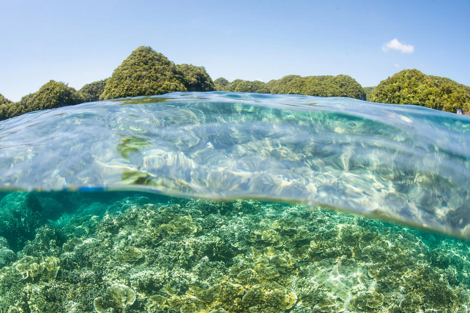 20 Best Islands in the Pacific for Kayaking Adventures - NewsBreak